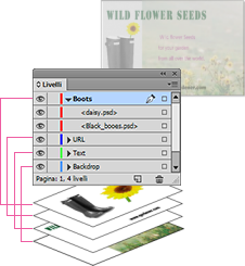 Create and use layers in Adobe InDesign