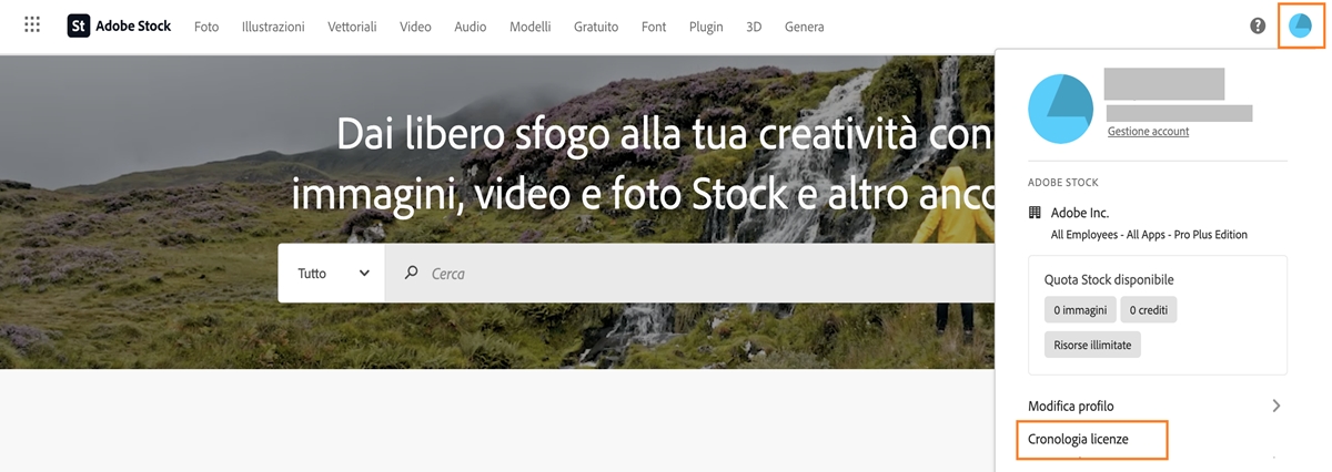 Integrazione con Adobe Stock