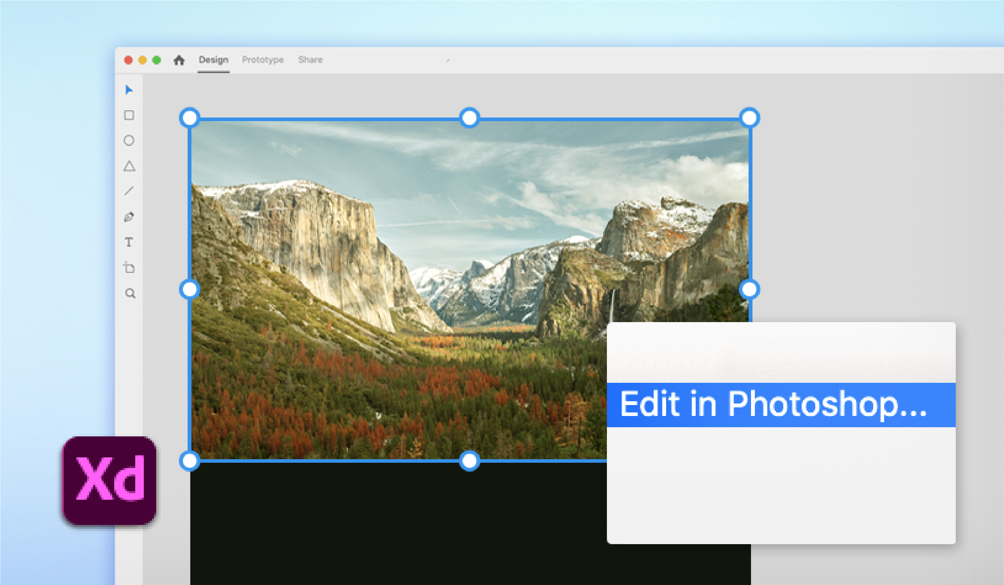 Scopri come copiare e incollare risorse da Photoshop in XD