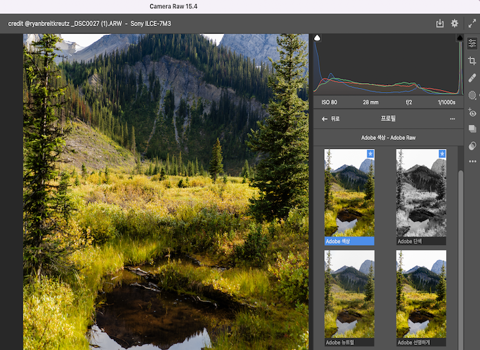 Adobe Camera Raw에서 카메라의 색상 렌더링 조정