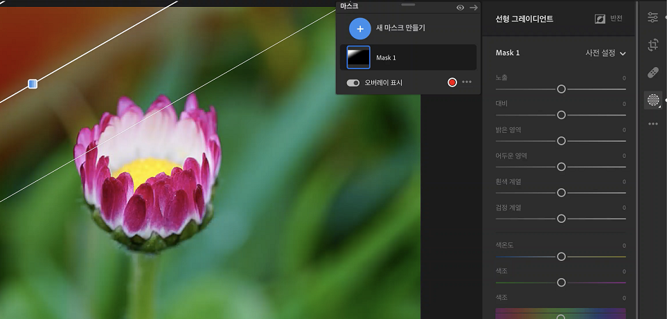 로컬 조정을 위한 마스크 적용
