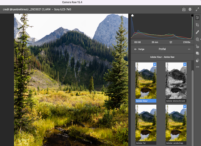 Kleurweergave voor uw camera aanpassen in Adobe Camera Raw