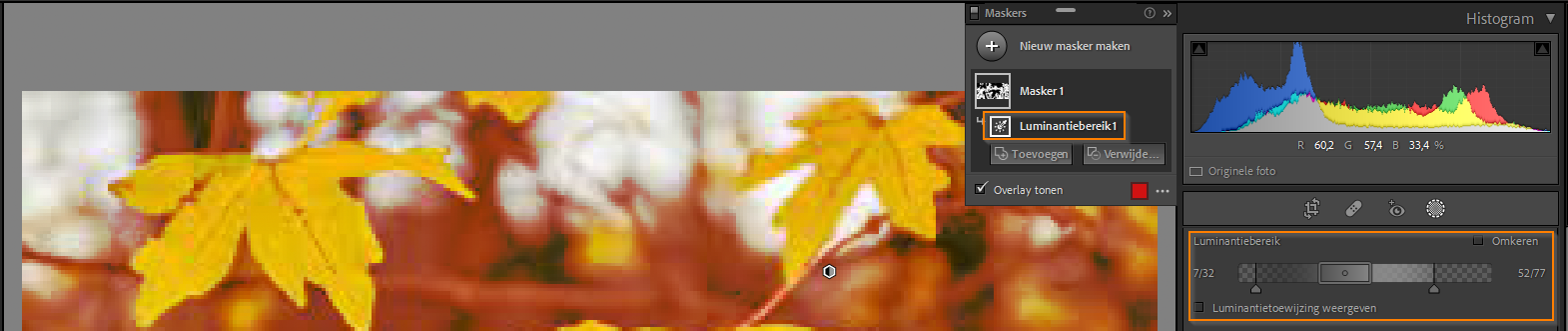 Lightroom Classic, maskeringstool