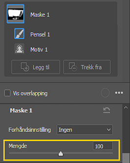 Bruke Maskering for lokale justeringer i Camera Raw