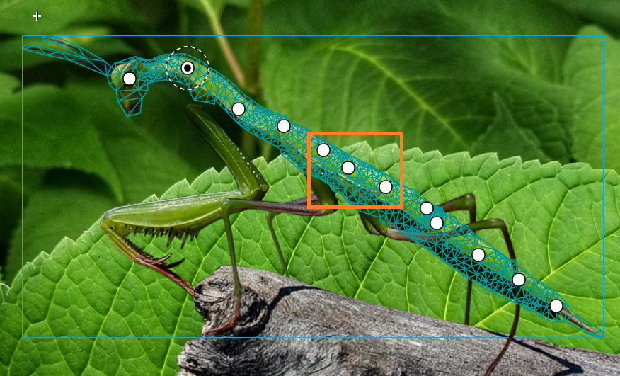 Przekształcanie i łączenie obiektów graficznych w programie Animate