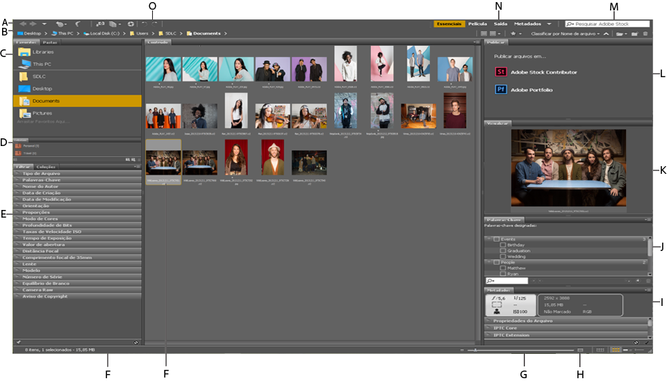 Como usar os painéis do Adobe Bridge, gerenciar áreas de trabalho ...