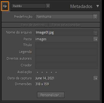 Ações e conceitos básicos de metadados no Lightroom Classic
