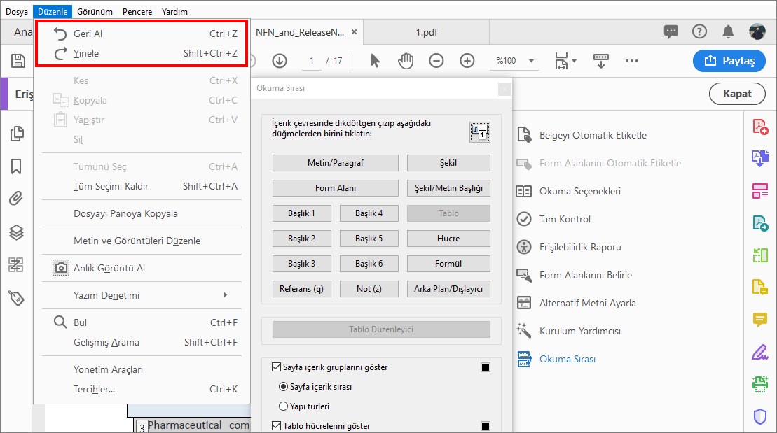 PDF'ler için Okuma Sırası aracı (Adobe Acrobat Pro)