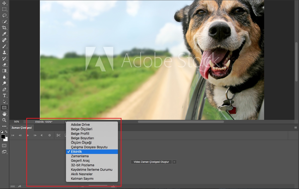 Photoshop performansını optimize edin