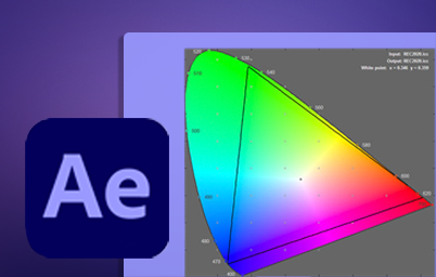 After Effects 2021 年 1 月版新增功能。