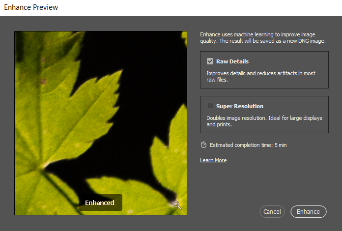 在 Adobe Camera Raw 中使用“原始细节”和“超分辨率”