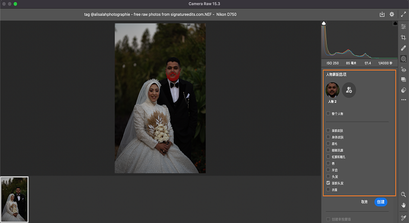 在 Camera Raw 中应用蒙版进行局部调整
