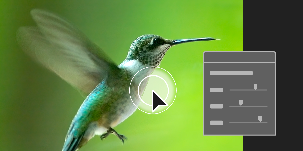 详细了解 Adobe Creative Cloud 所有应用程序计划
