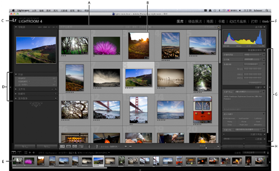 Lightroom Classic 中的工作区基础知识
