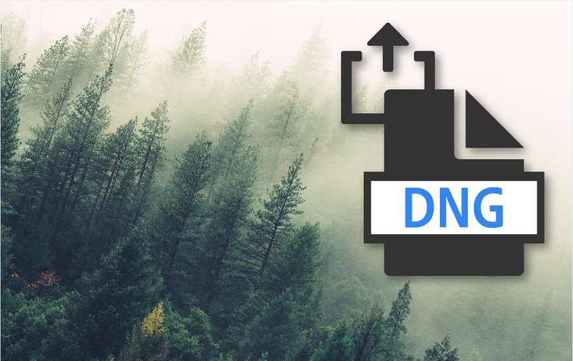 Lightroom 2020 年 2 月版的新功能摘要