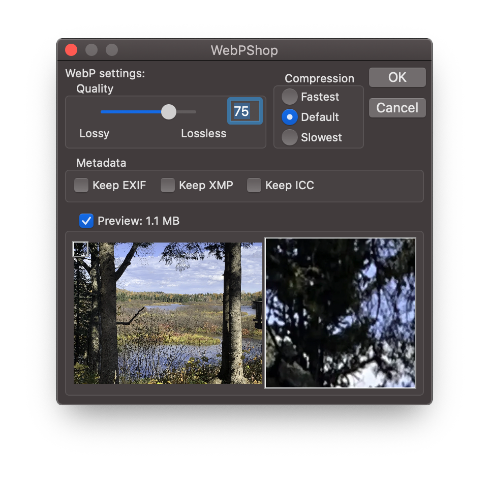 您現在可以在 Photoshop 中輕鬆使用 WebP 檔案格式。