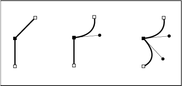 Understand paths and shapes in InDesign