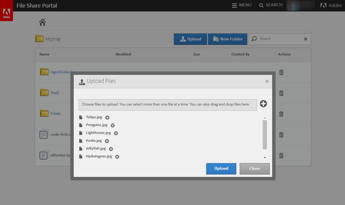 Skupna raba velikih datotek z Adobe Support